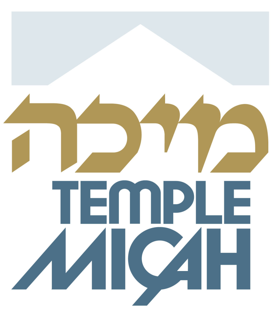 Temple Micah – Family Israel Trip 2024 - MEJDI Tours